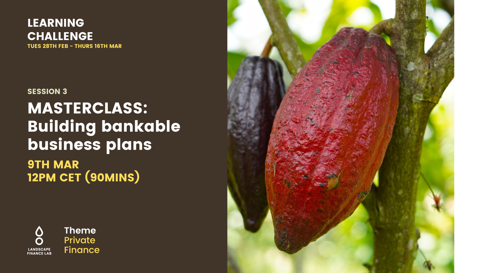 Masterclass on Building Bankable Business Plans | Learning Modules ...